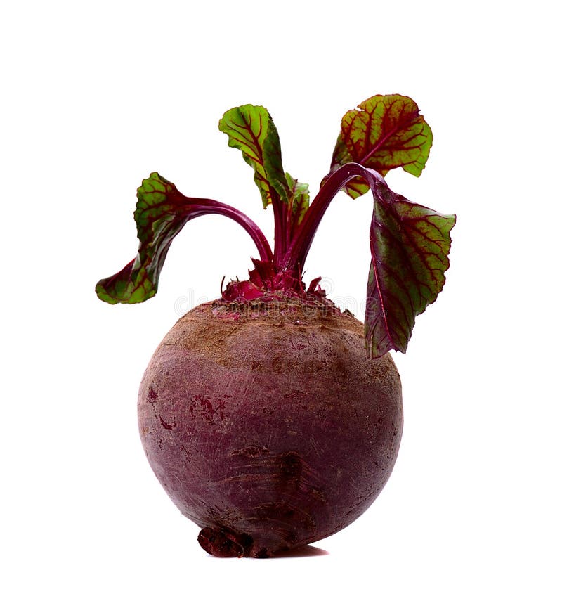 Beet stock image. Image of leafy, macro, ingredient, orange - 5803115