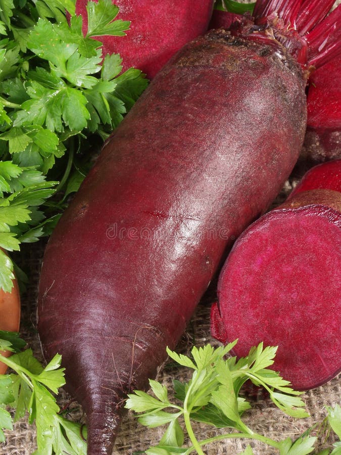 Fresh red beet stock photo. Image of vegetarian, green - 20548062