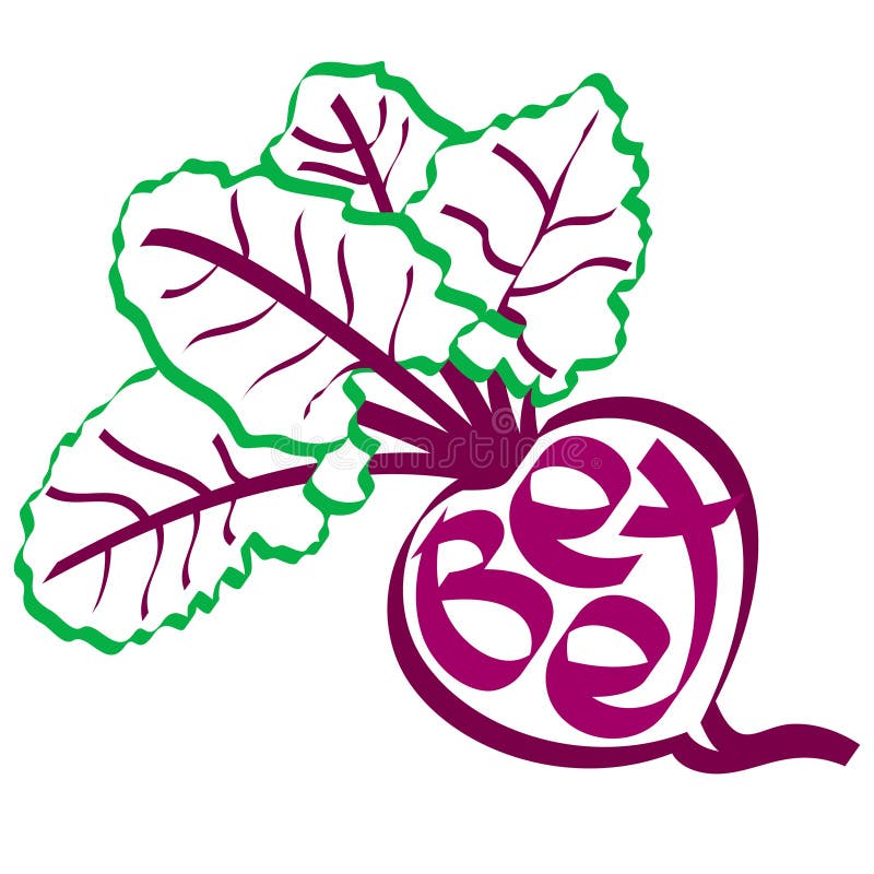 Violet beet vegetable stock vector. Illustration of color - 47759118