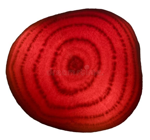 Beet carved stock image. Image of beetroots, turnip, agriculture - 18302705