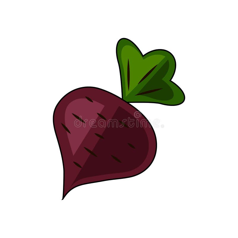 Red Beetroot Color Variation for Coloring Page Isolated Stock Vector ...