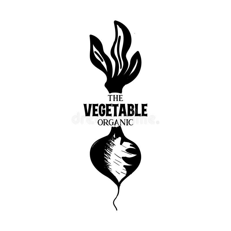 Beet Design Logo Vegetable Vector Stock Vector - Illustration of icon ...