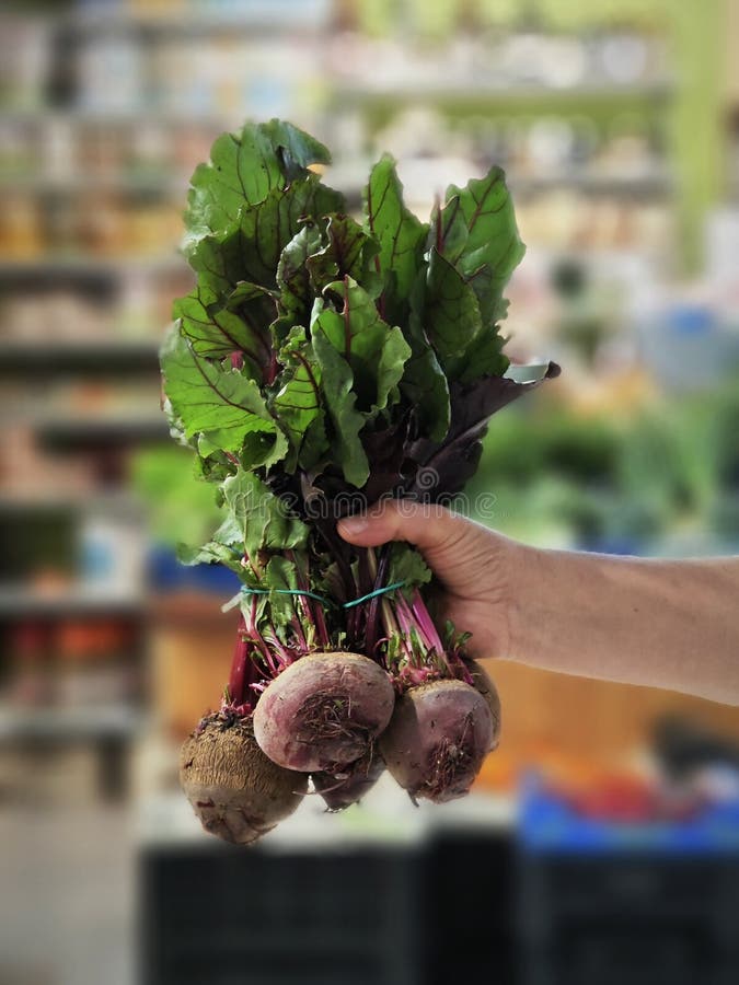 Beet fresh in a hand stock image. Image of fresh, beet - 272930781