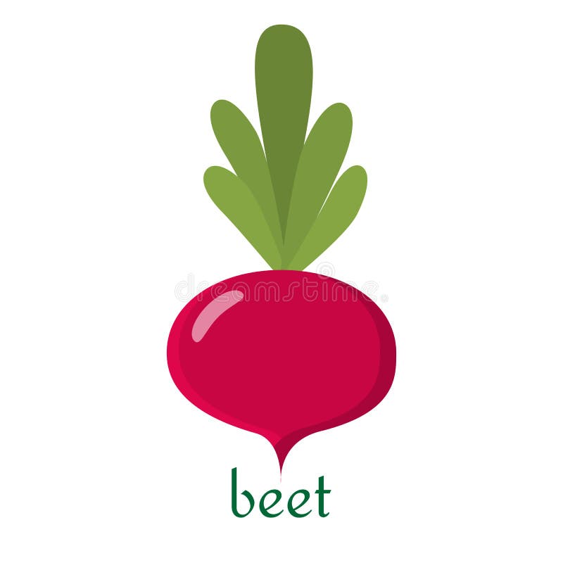 Beet Drawing Logo Stock Illustrations – 773 Beet Drawing Logo Stock ...