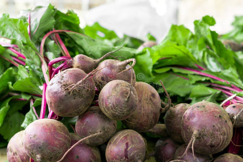 Beet on the Market in Greece Stock Image - Image of fresh, leaf: 71619271