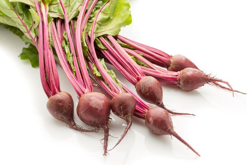 Beet. stock photo. Image of beet, organic, freshness - 40647768