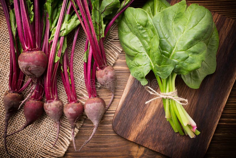 Beets of various colors stock image. Image of beets, hands - 15961817