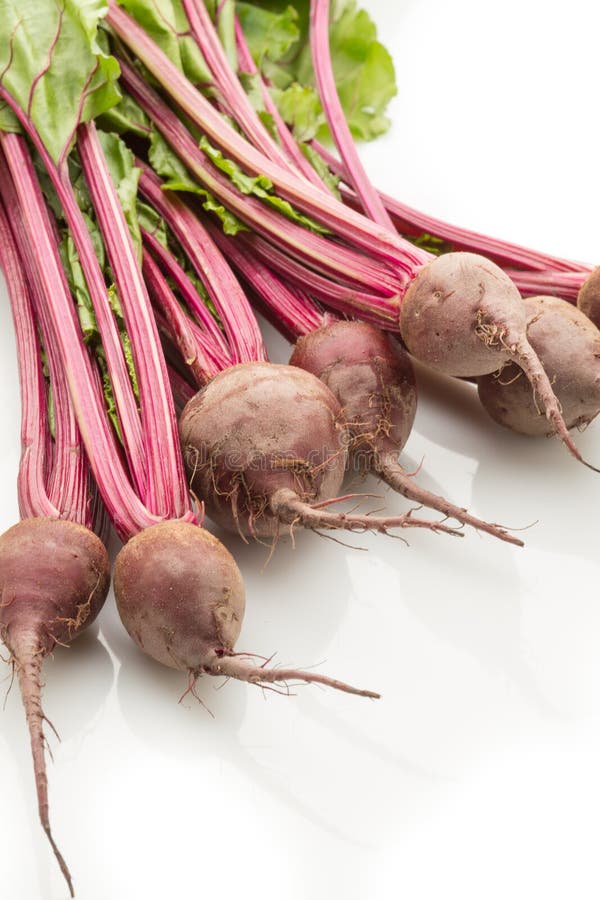 Beet. stock photo. Image of plant, green, beetroot, leaf - 44253058