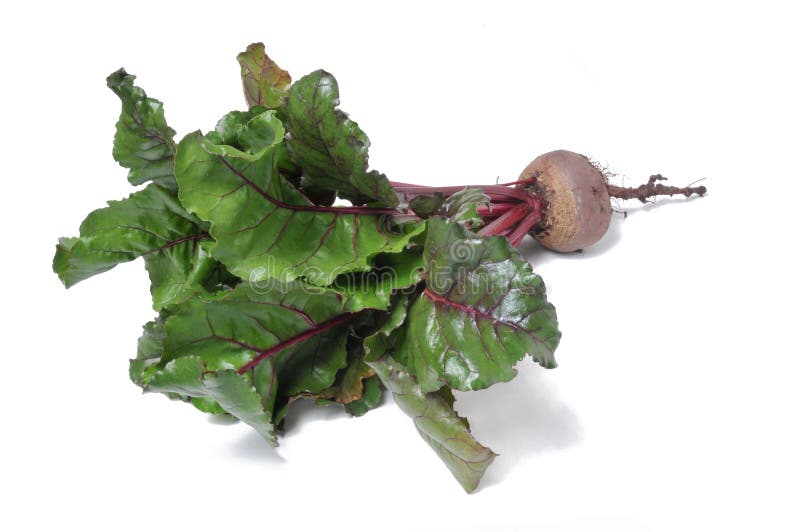 Beet root stock photo. Image of vegetable, healthy, nutritive - 16484360