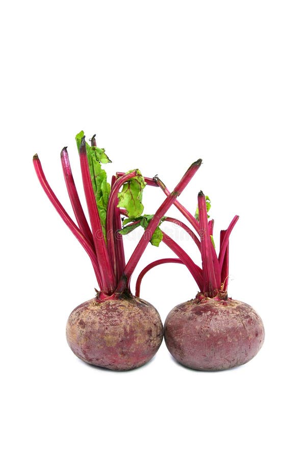 Big red beet root peeled stock photo. Image of crop, food - 41882066