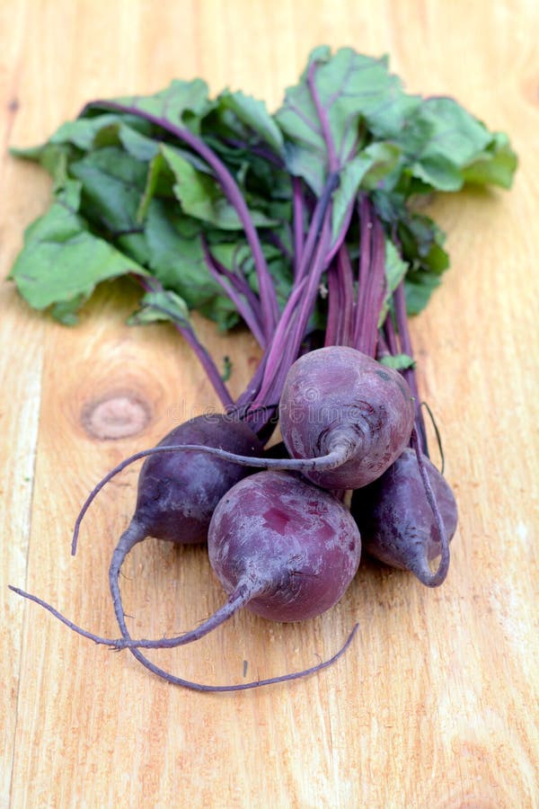 Beet root stock photo. Image of bunch, healthy, length - 42959052