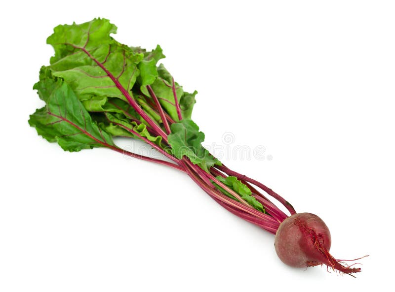 Big red beet root peeled stock photo. Image of crop, food - 41882066