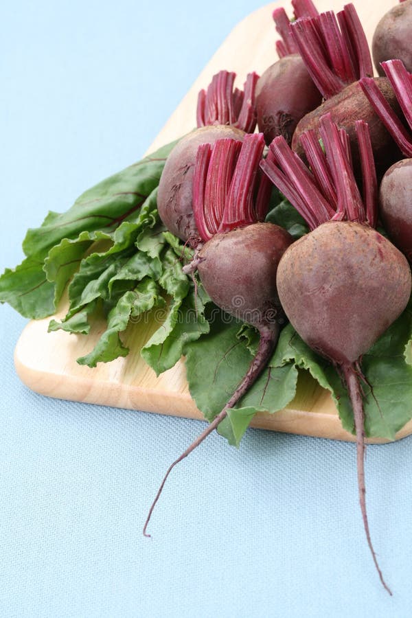 Beet roots stock image. Image of cook, nutrition, diet - 5299029