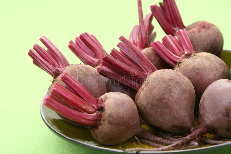 Taro stock photo. Image of fruit, tourist, root, fresh - 41177064