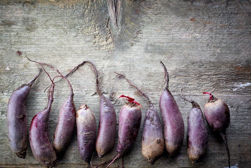 Beet roots on wooden table stock photo. Image of life - 65048876