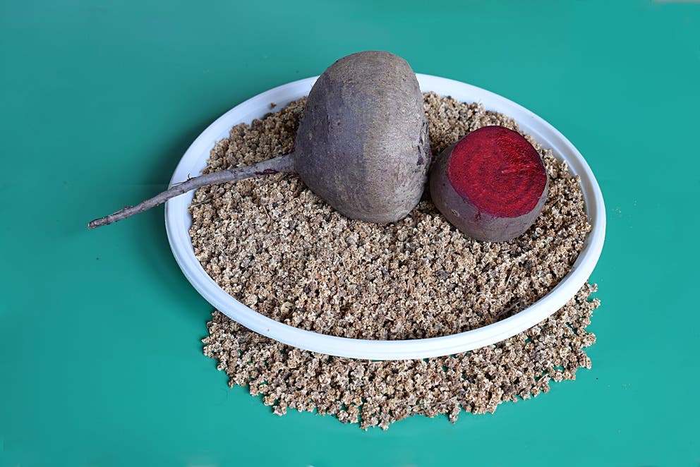 Beet seeds and beet roots stock photo. Image of nutritious - 243585900