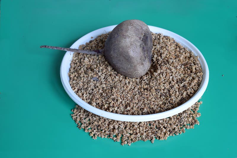 Beet seeds and beet roots stock image. Image of root - 291216211