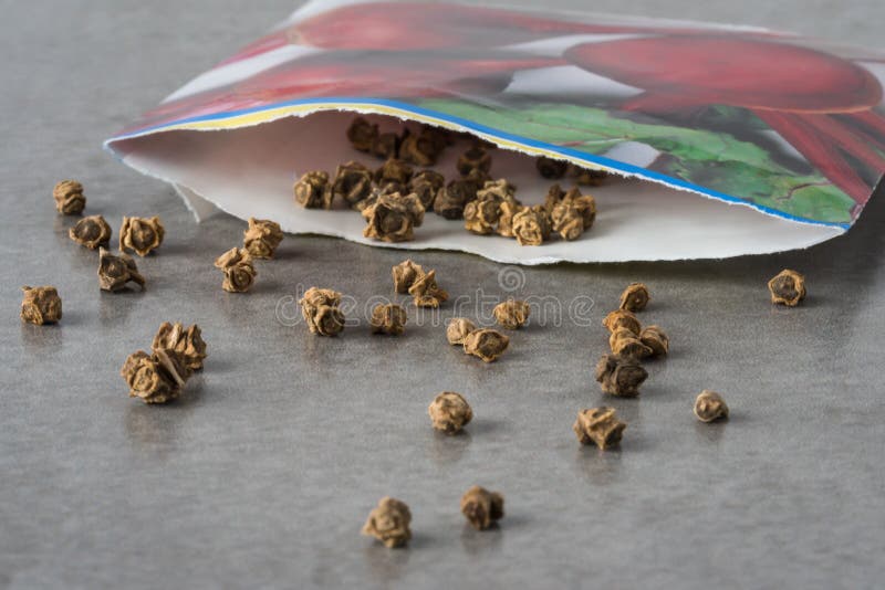 Beet Seeds Spilled from a Seed Packet Stock Image - Image of food ...