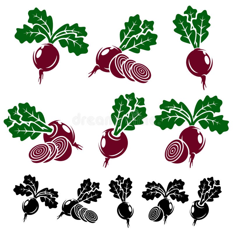 Beet set. Vector stock vector. Illustration of ripe, beet - 85436169
