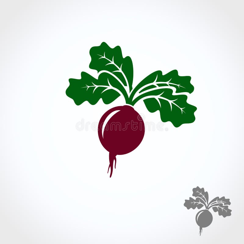 Beet Labels and Elements Set. Vector Stock Vector - Illustration of green, vegetarian: 85436204
