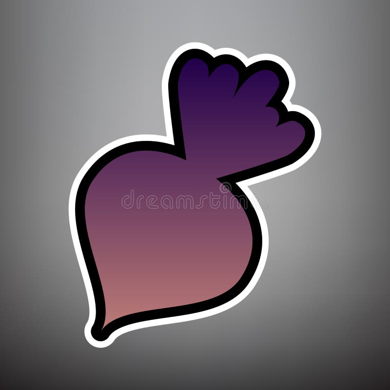 Violet beet vegetable stock vector. Illustration of color - 47759118