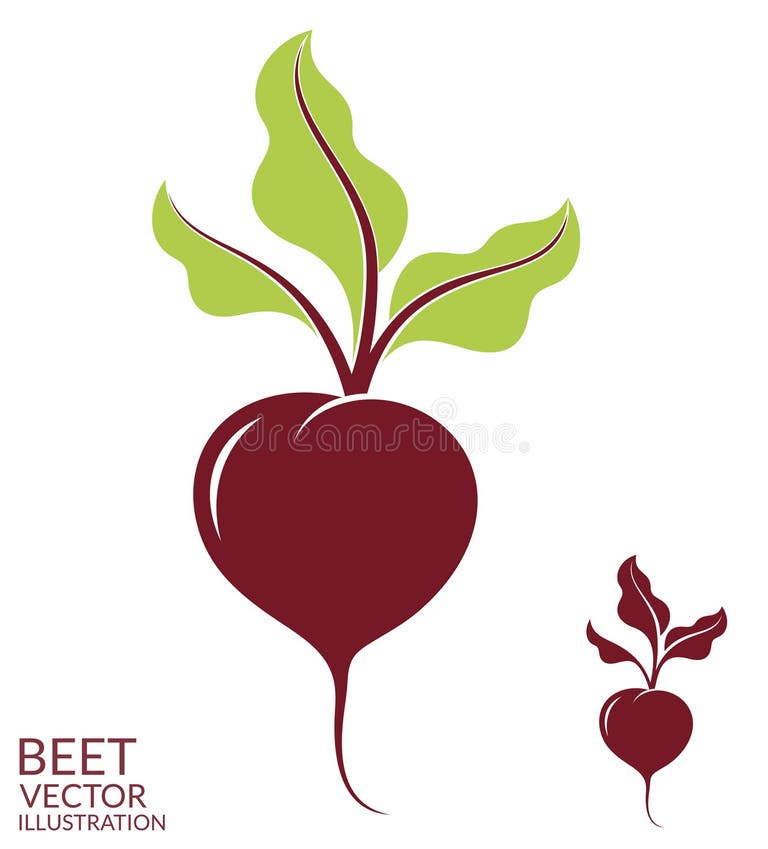 Beet Logo Stock Illustrations – 3,032 Beet Logo Stock Illustrations ...