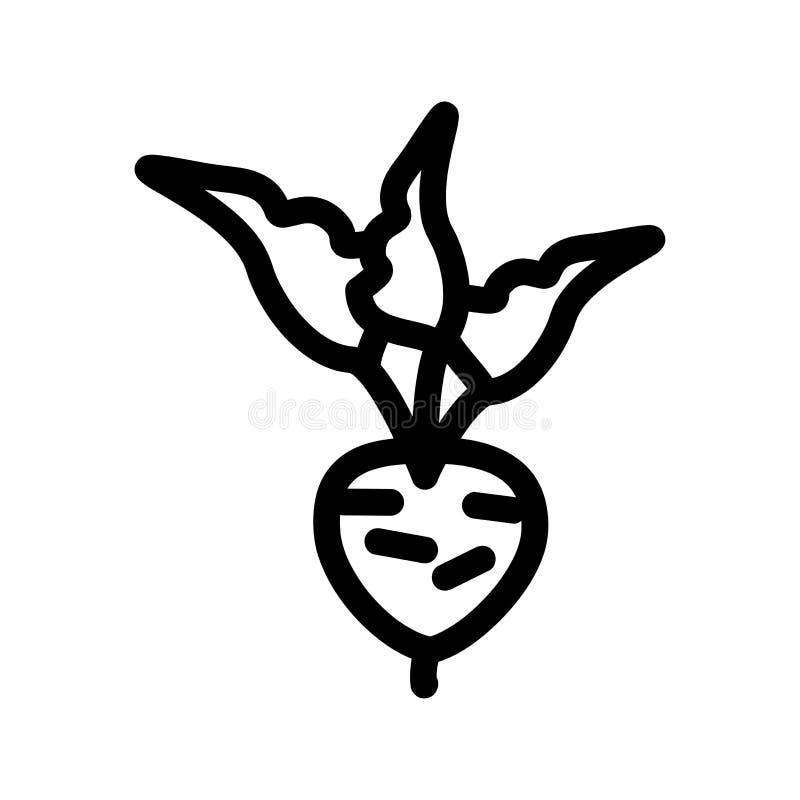 Beet Linear Icon. Modern Outline Beet Logo Concept on White Back Stock ...