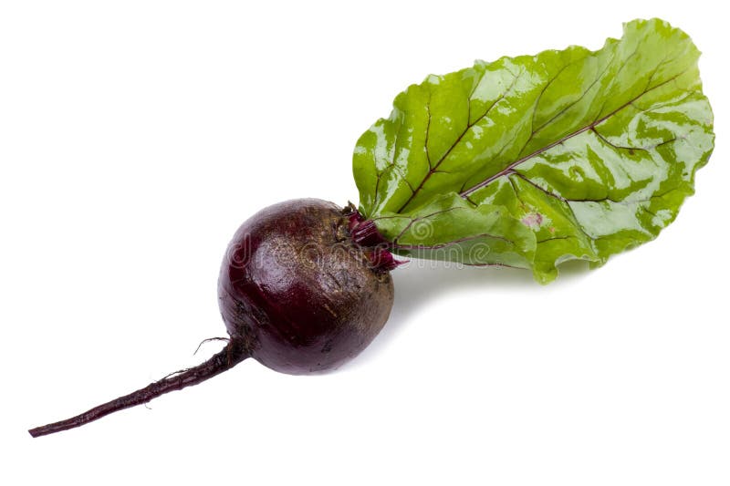 Beet on white close up stock image. Image of purple, health - 15240683