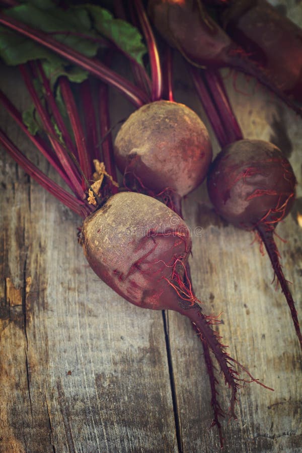 Beet stock image. Image of isolated, cooked, length, leaves - 64021533