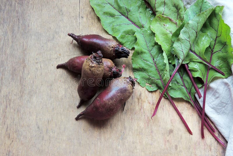 Beet stock photo. Image of beet, food, purple, beets - 74969754