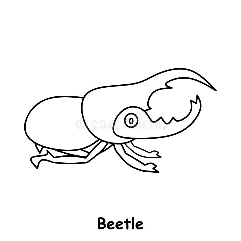 Beetle Children Book Illustration, Trace and Coloring Vector World Wild ...