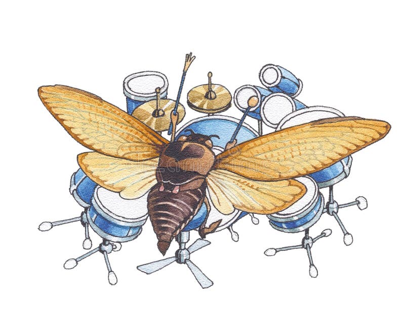 Beetle (bug) playing drums stock illustration. Illustration of rock ...