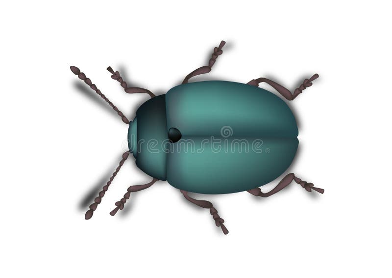 Beetle cyan design stock vector. Illustration of eps10 - 102529879