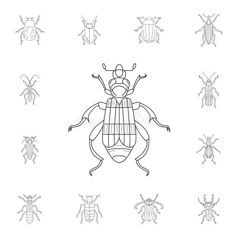 Beetle Icon. Simple Element Illustration. Beetle Symbol Design from ...