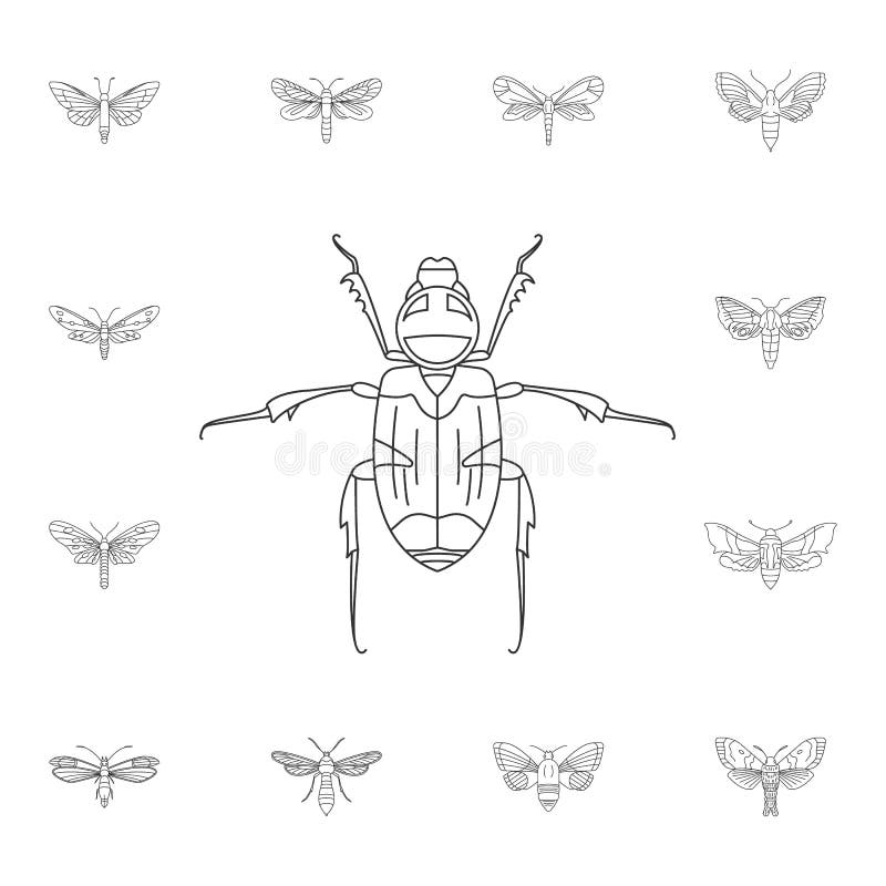 Beetle Icon. Simple Element Illustration. Beetle Symbol Design from ...