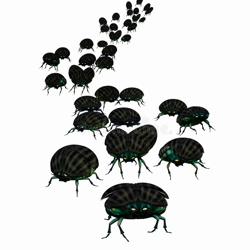 Beetle Infestation stock illustration. Illustration of insects - 10949515