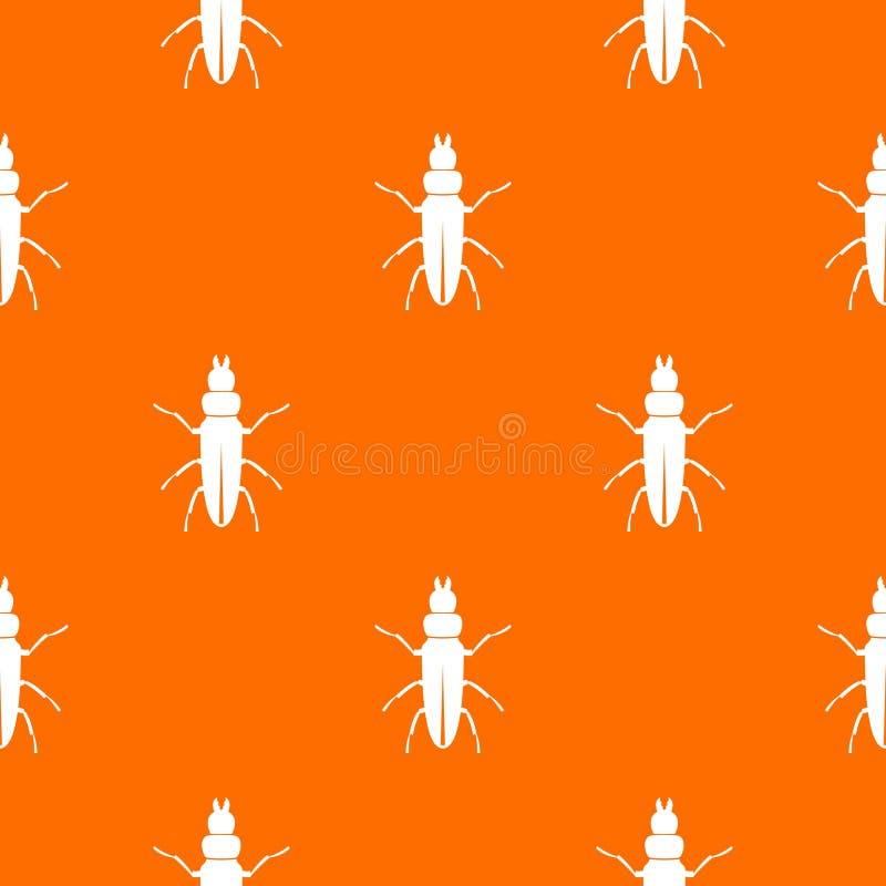 Beetle Insect Pattern Seamless Stock Vector - Illustration of fauna ...