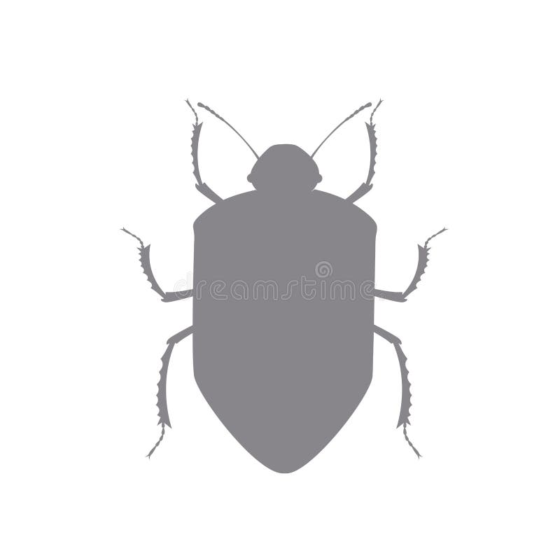 Beetle Insect Vector Shape stock vector. Illustration of maggot - 94294733