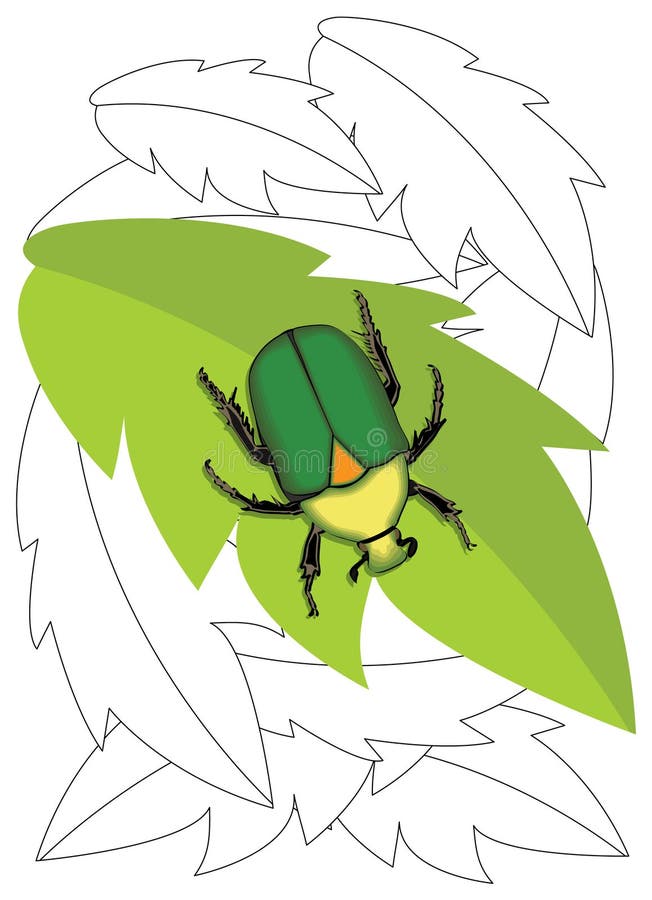 Beetle on leaf stock vector. Illustration of natural - 12819487