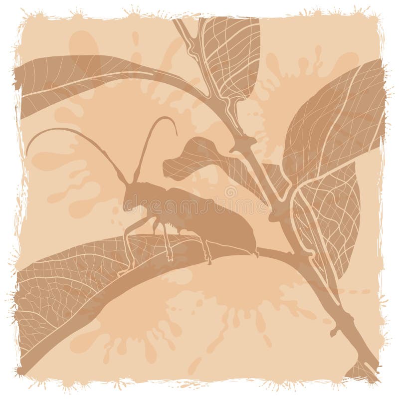 Beetle on the leaf. stock vector. Illustration of branch - 43956350