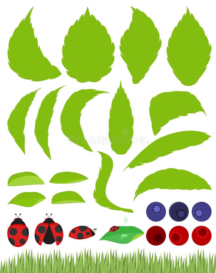 Beetle Leaves Leaf Design Element Set Illustration Stock Vector ...