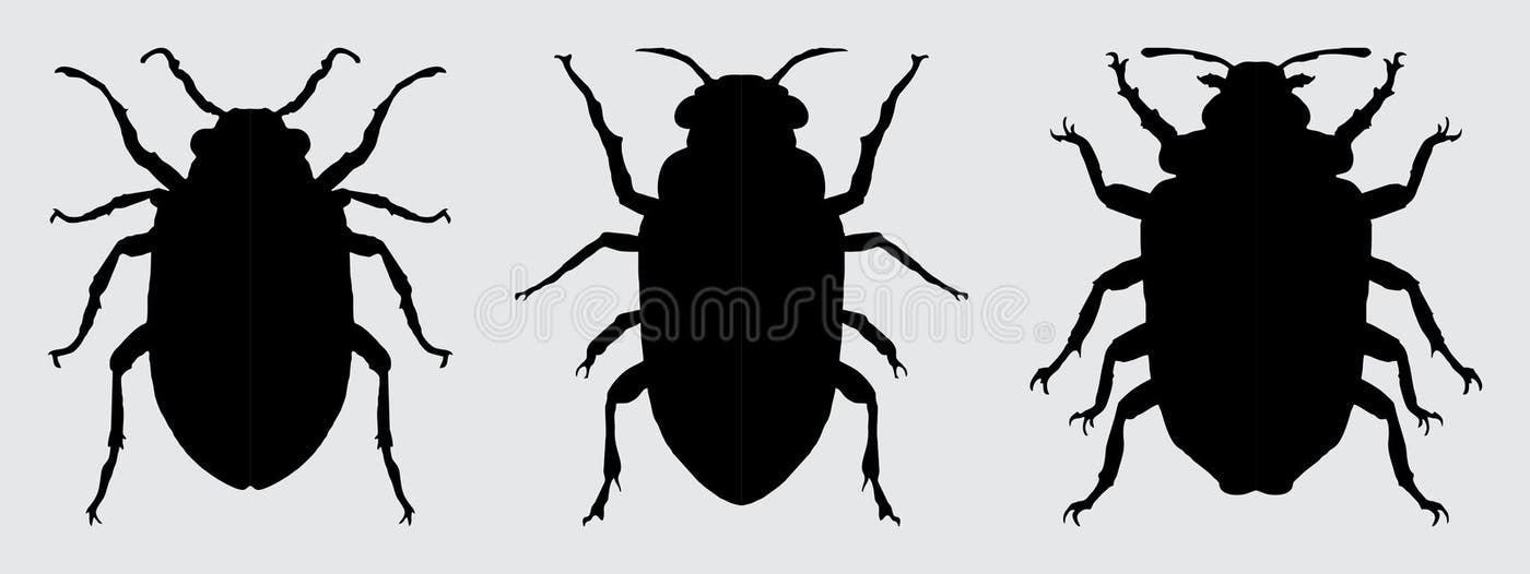 Beetles Silhouette Vector Stock Illustrations – 682 Beetles Silhouette ...