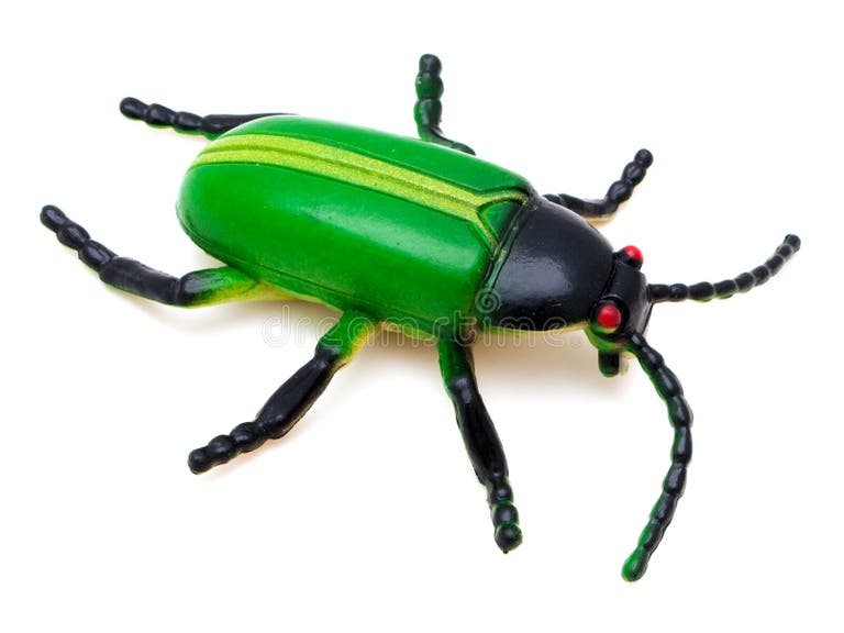 Beetle toy stock photo. Image of spotted, collection - 11067104