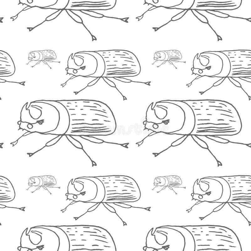 Beetle Vector Seamless Pattern Isolated on White Background Stock ...