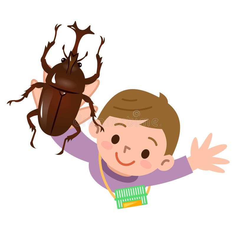 Beetles and boy stock vector. Illustration of beetle - 72961212