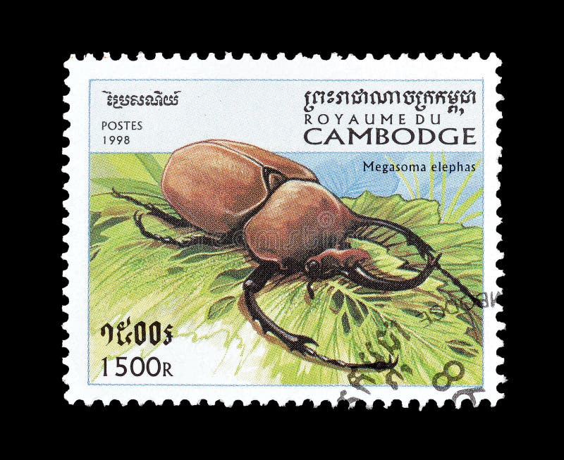 Beetles on postage stamps editorial image. Image of elephant - 141992530