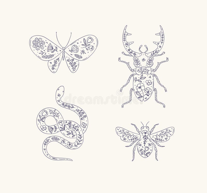 Beetles Stag Beetle, Snake, Moth, Insect in Floral Style Light Stock ...