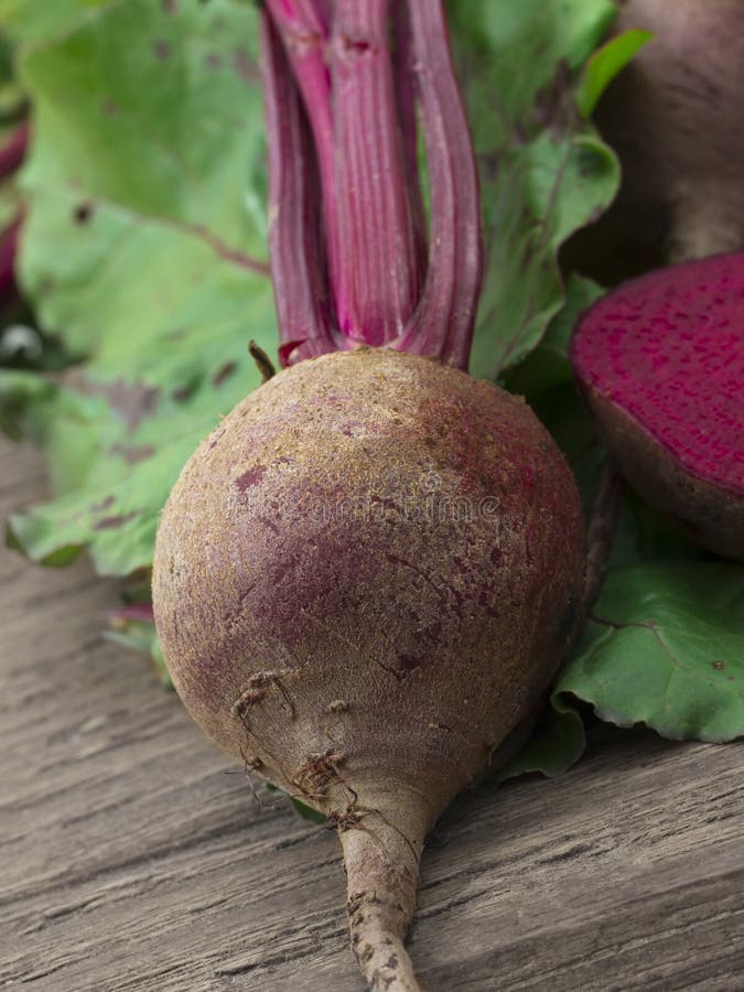 Beetroot stock photo. Image of sweet, rube, food, health - 26072978