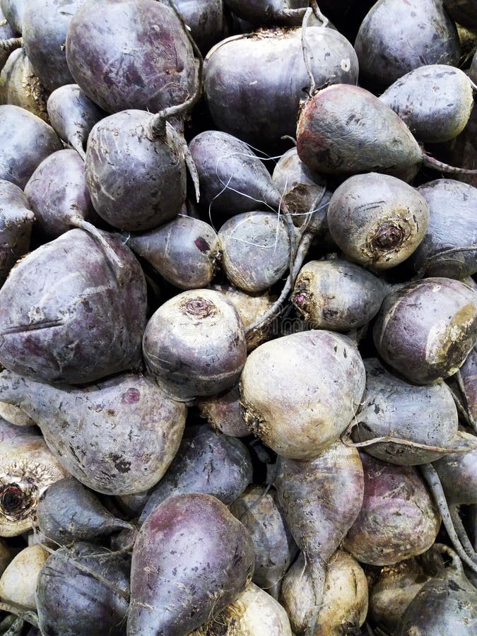 Beetroot, Also Known As Simply Beet, Table Beet, Garden Beet, Red Beet ...