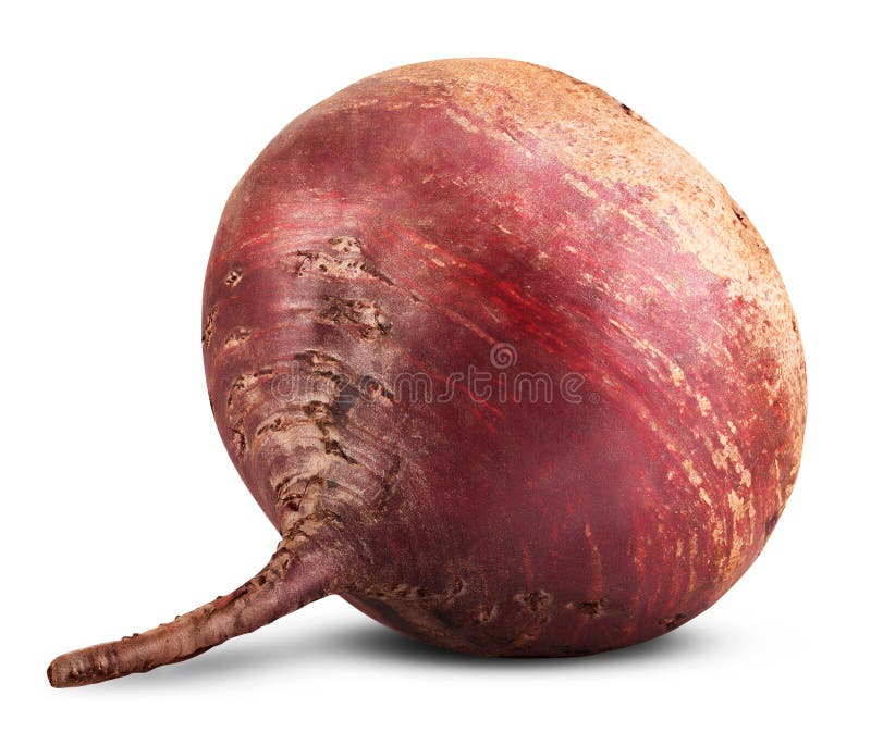 Beet purple stock photo. Image of purple, root, vegetable - 27129446